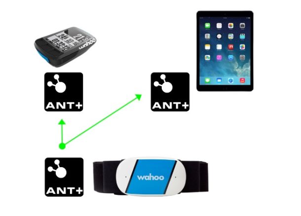Bluetooth Smart Vs ANT+ Devices | Gear Mashers